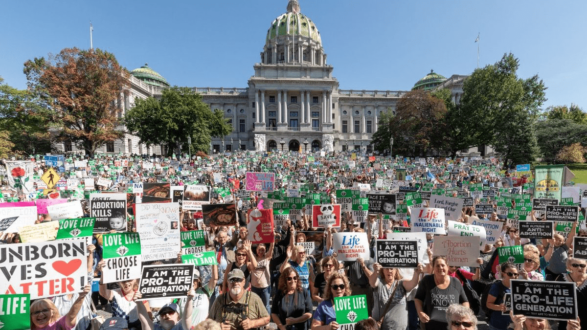 The March for Life: Our Year in Review - March for Life